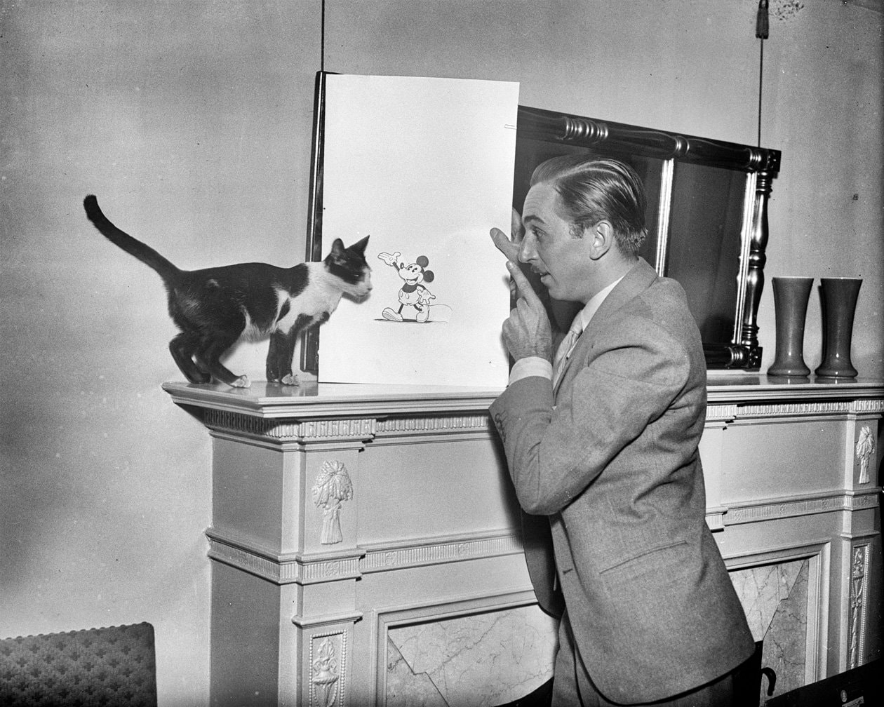 Walt Disney Print Walt Disney Shows Mickey Mouse to A Cat - Etsy