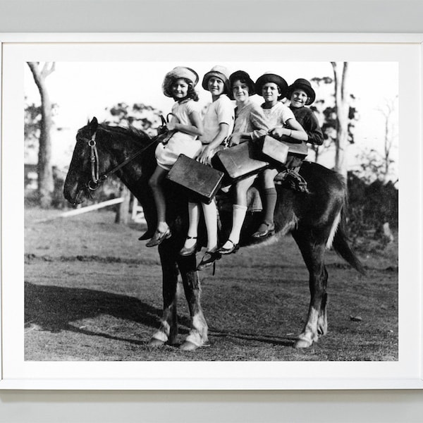 White Horse Photo - Etsy