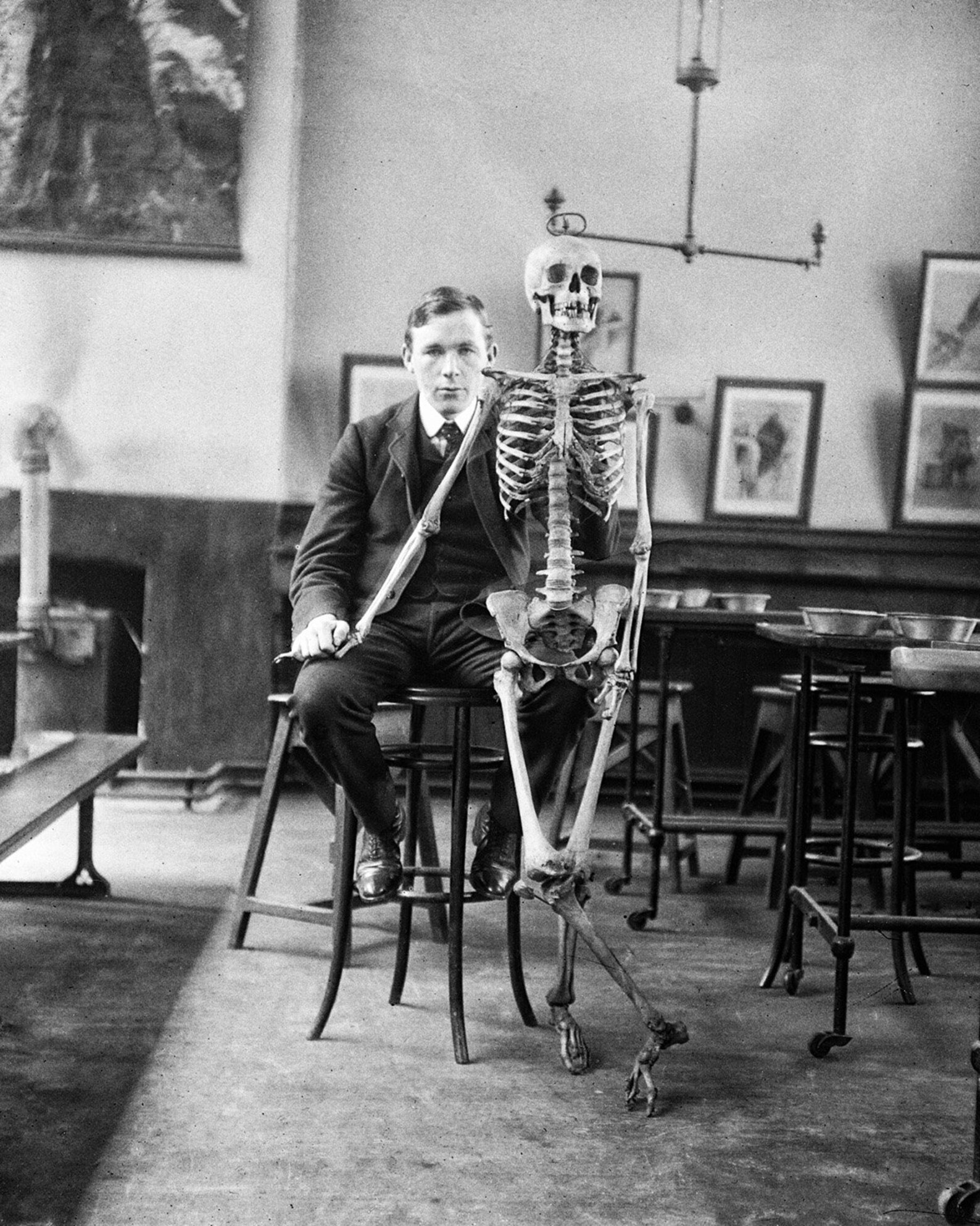 Skeleton Classroom Print Anatomical Skeleton Human Skeleton - Etsy