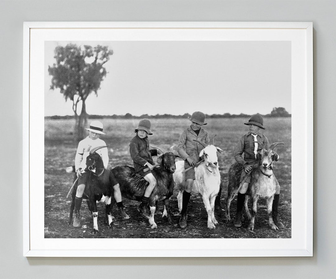 Kids Riding Goats Print, Black and White Vintage Photo, 1918, Wall Art ...