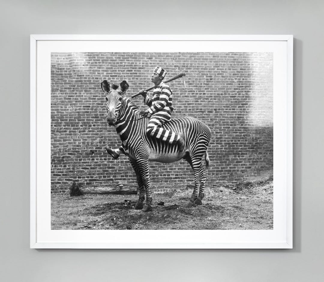 Zebra Prison Break Print, Comic Criminal, Vintage Art Photo Print ...