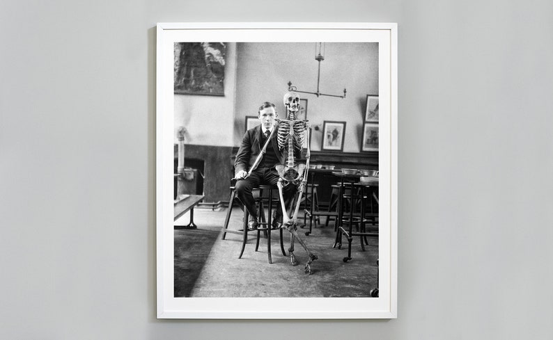 Skeleton Classroom Print Anatomical Skeleton Human Skeleton - Etsy