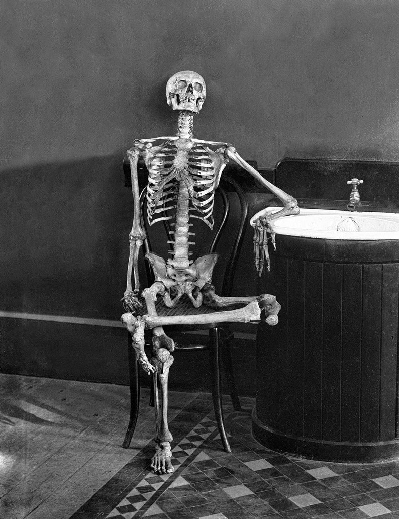 Skeleton Relaxing Print Skull Print Anatomical Skeleton - Etsy