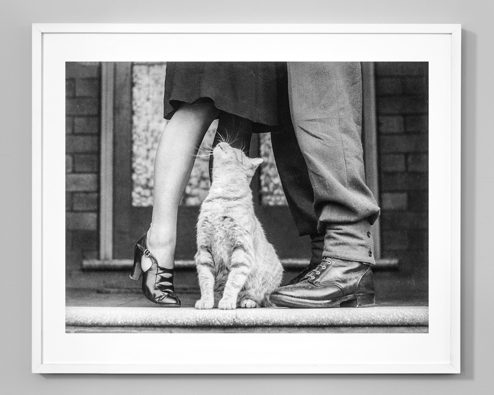 Cat Lovers Print Animal Lovers Couples in Love Vintage - Etsy