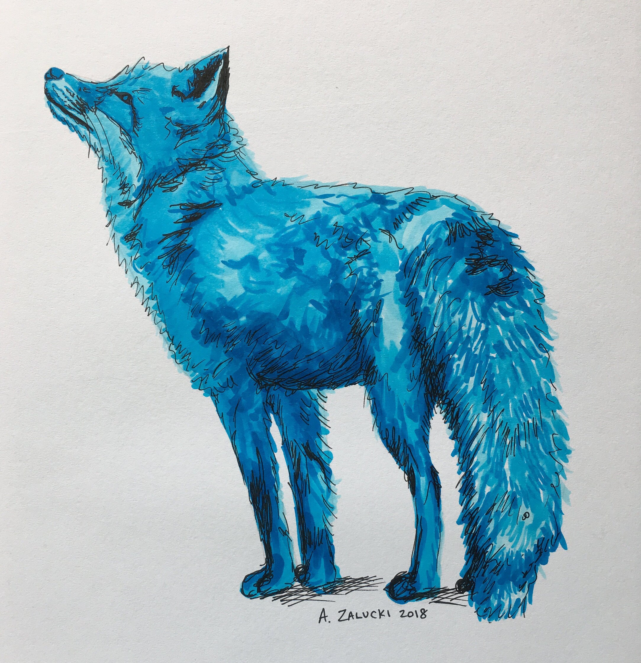 Blue Wolf Sticker - Etsy
