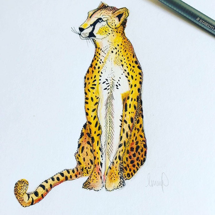 Impresión de guepardo / Ilustración / Arte / Impresión Giclee / Cheetah ...