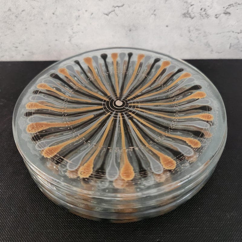 Higgins Glass - Etsy