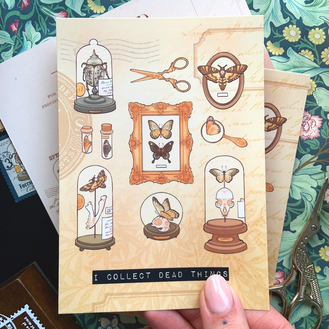 I Collect Dead Things Postcard Print - Etsy