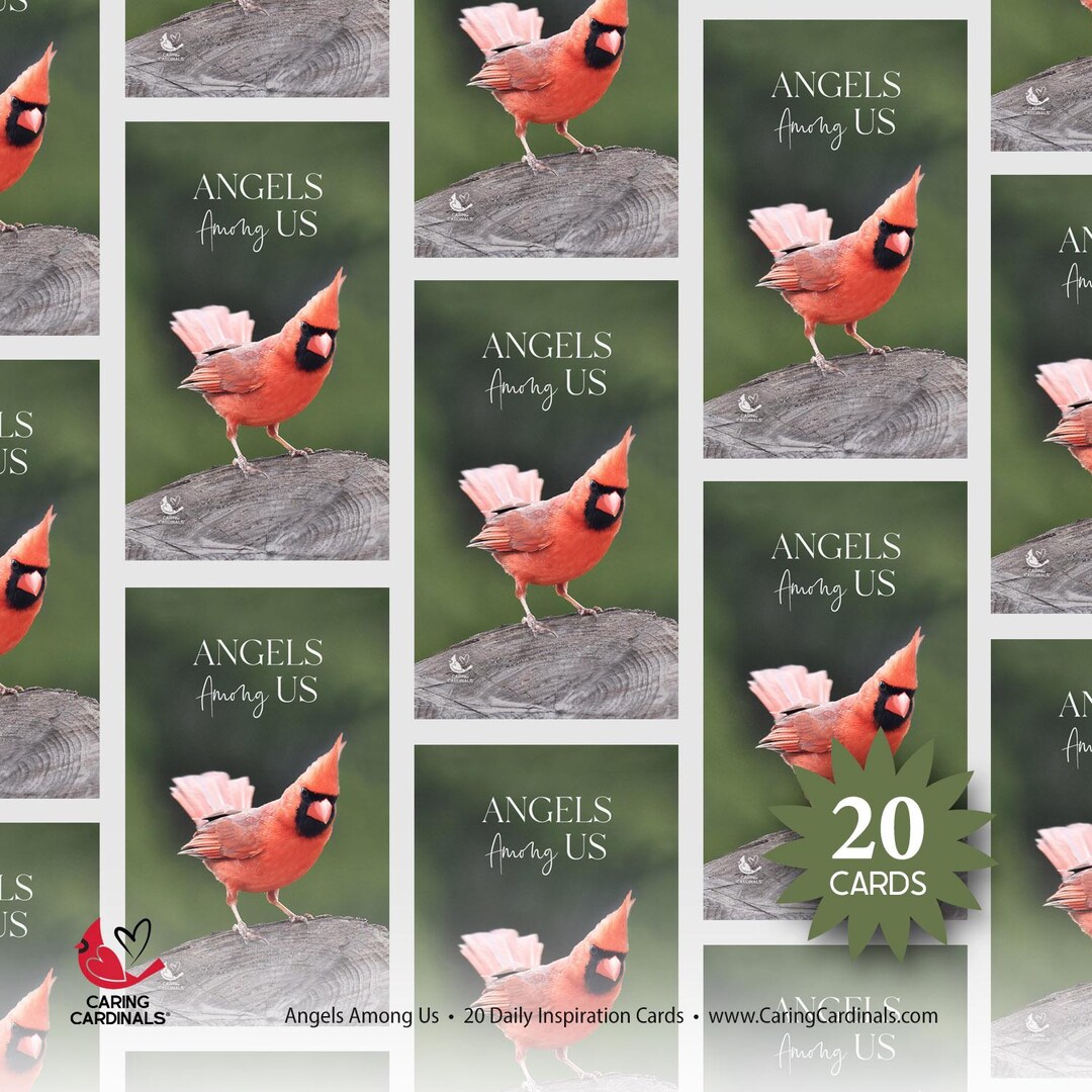 Cardinal Note Card Inserts And/or Memorial Favors, 20 Cards With Red ...