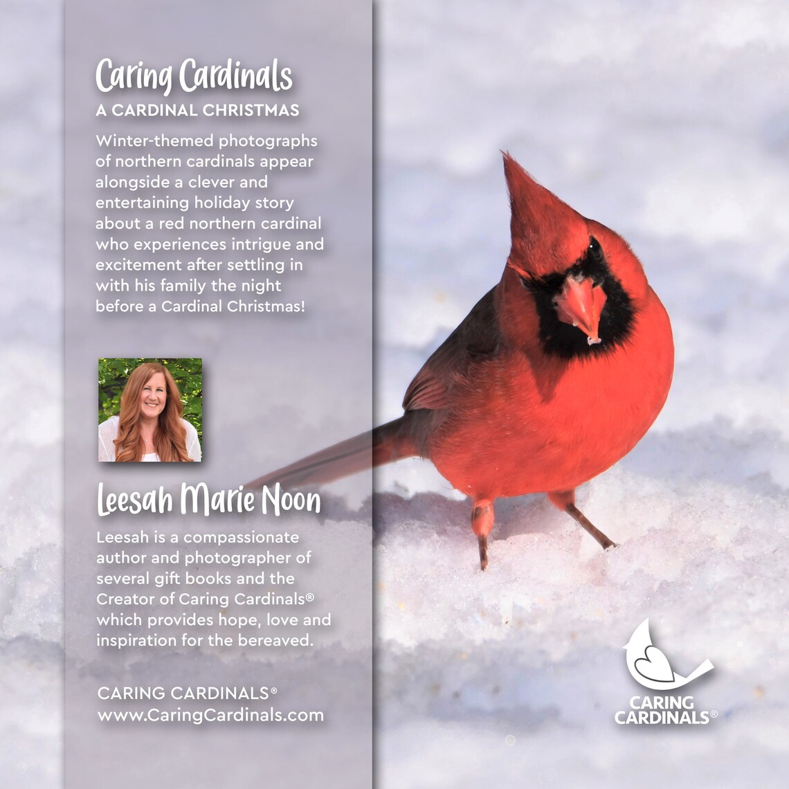 Cardinal Book Set, Narrative Christmas Poem, Cardinal Photography ...