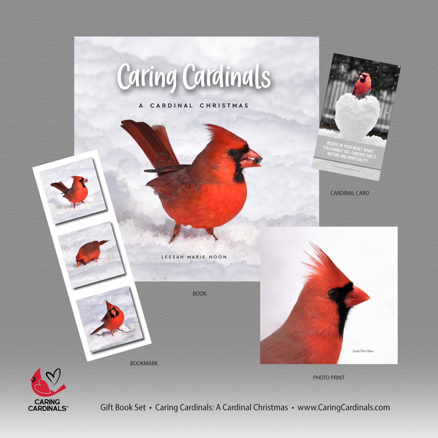Cardinal Book Set, Narrative Christmas Poem, Cardinal Photography ...