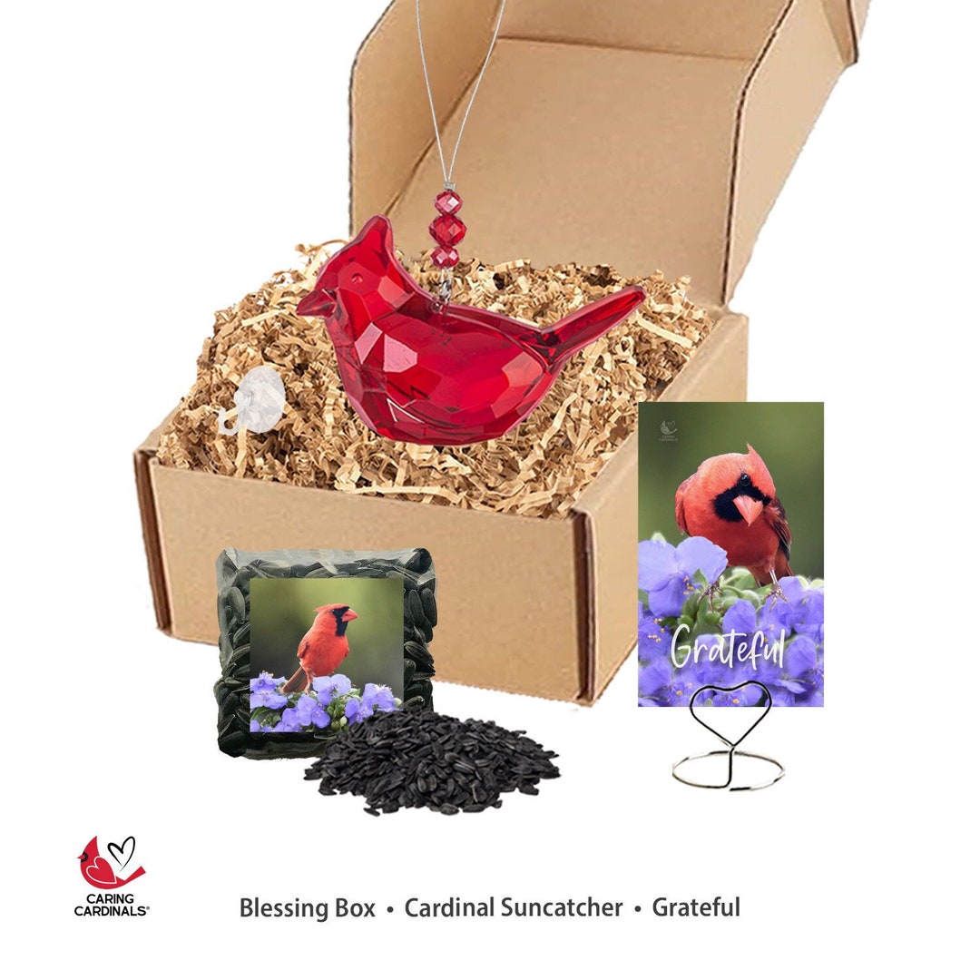 CARDINAL Blessing Box, Suncatchers, 8 Design Styles, Sympathy Gifts ...