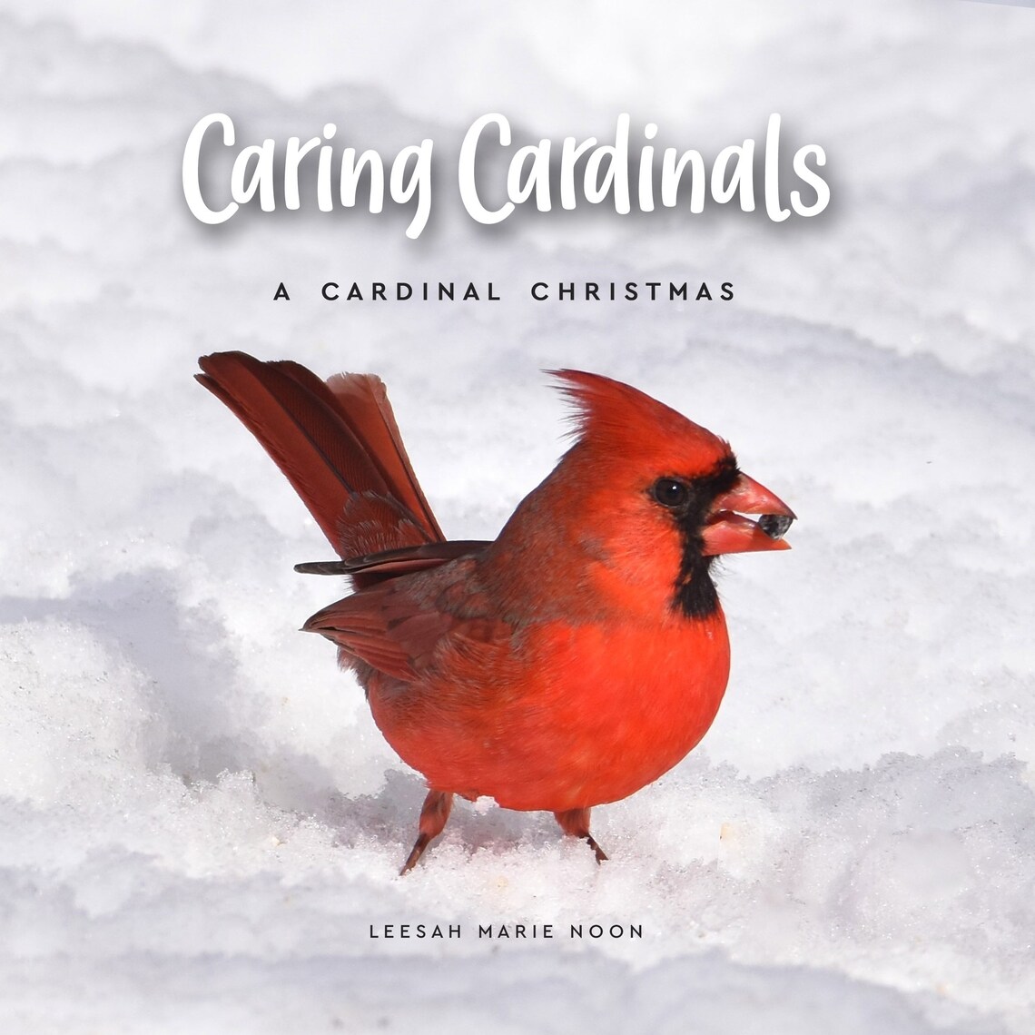Cardinal Book Set, Narrative Christmas Poem, Cardinal Photography ...