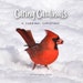 Cardinal Book Set, Narrative Christmas Poem, Cardinal Photography ...