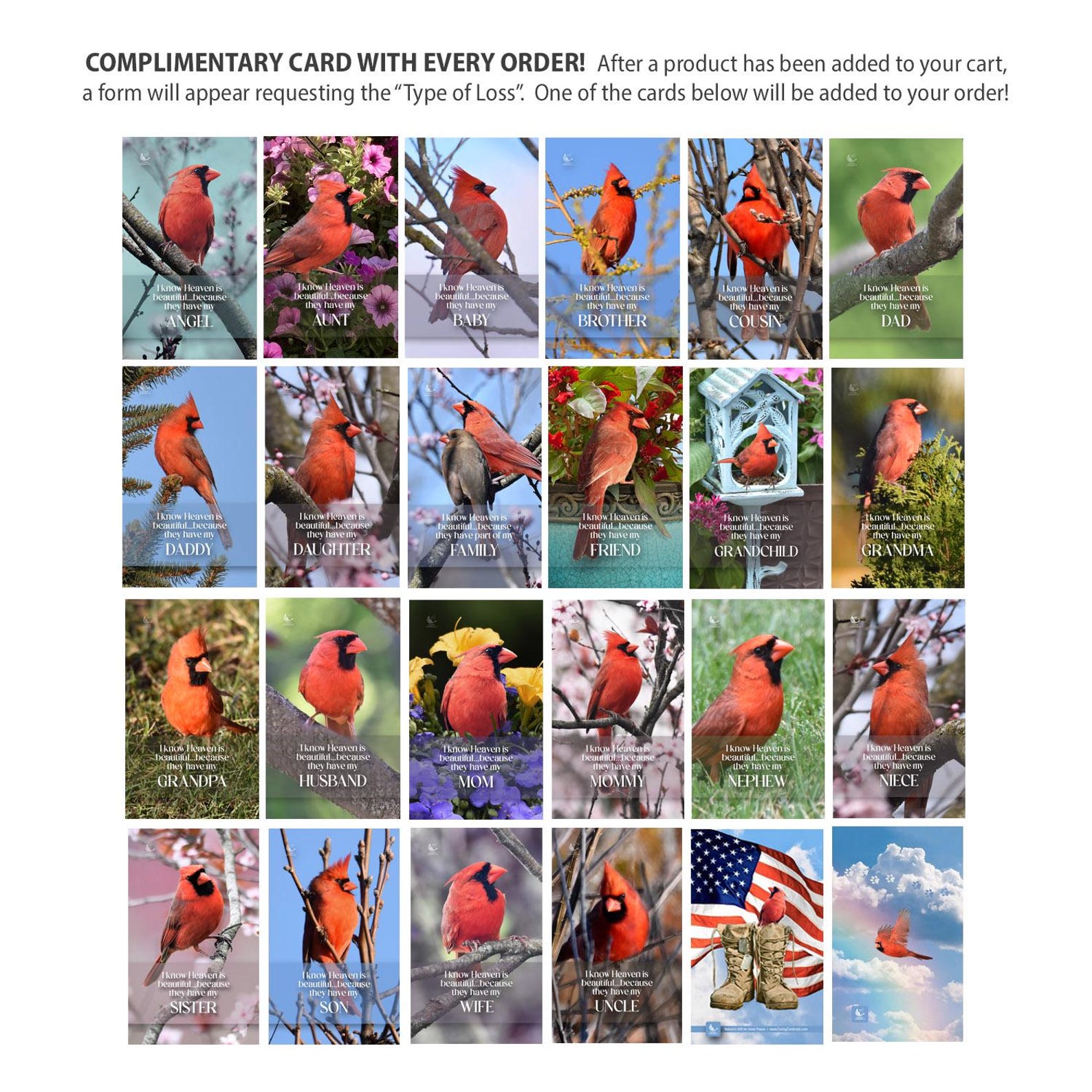 Cardinal Book Set, Narrative Christmas Poem, Cardinal Photography ...
