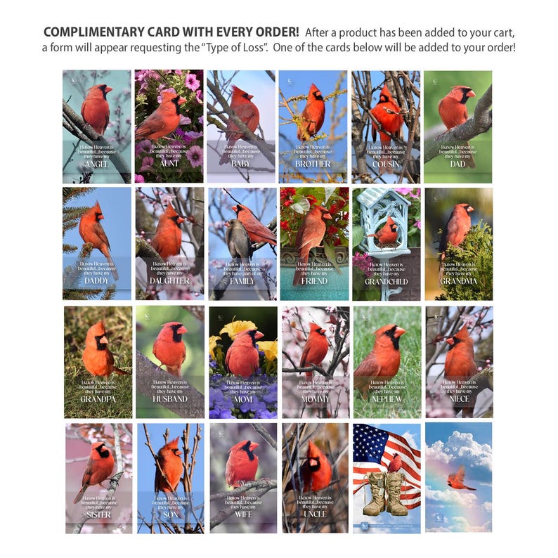 Cardinal Book Set, Narrative Christmas Poem, Cardinal Photography ...