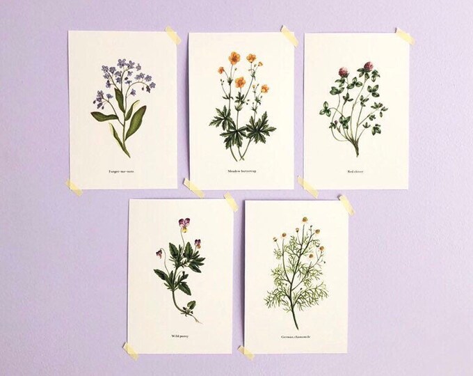 Wildflower Wall Art Botanical Print Botanical Illustration - Etsy