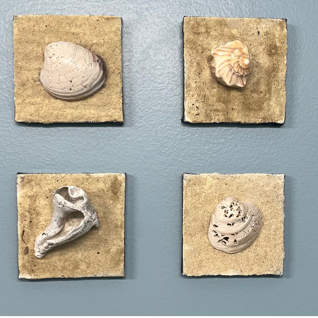 Set of 4 Sea Shell Canvases, 3X3 Seashell Art, Beach Art, Seashell Art ...