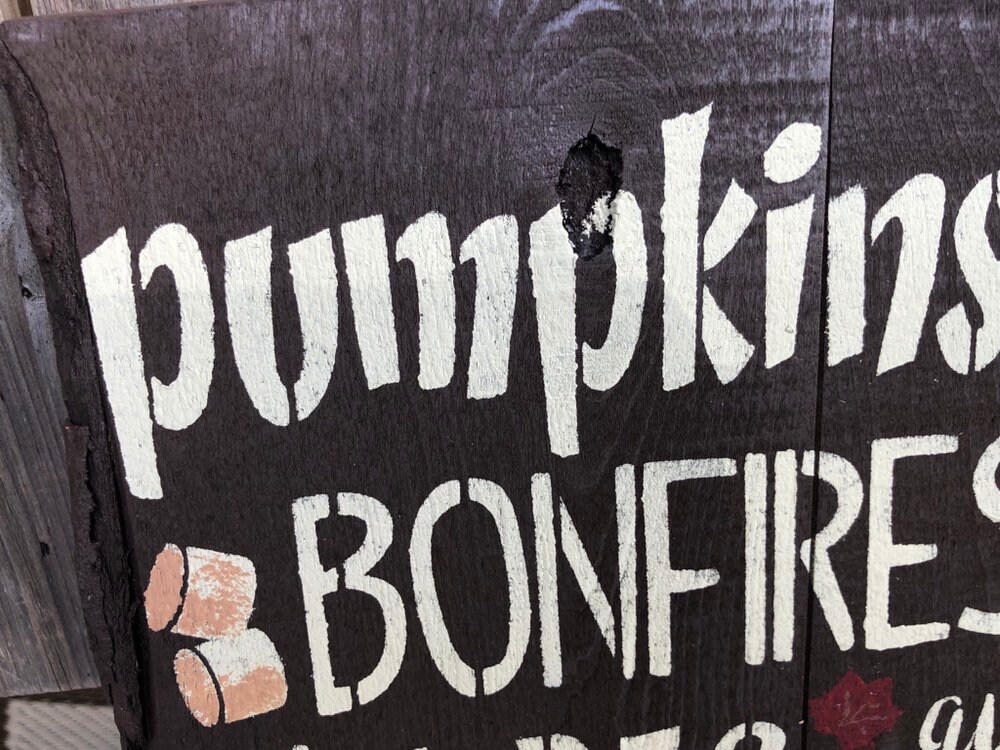 Rustic Fall Sign / Rustic Fall Decor / Fall Home Sign