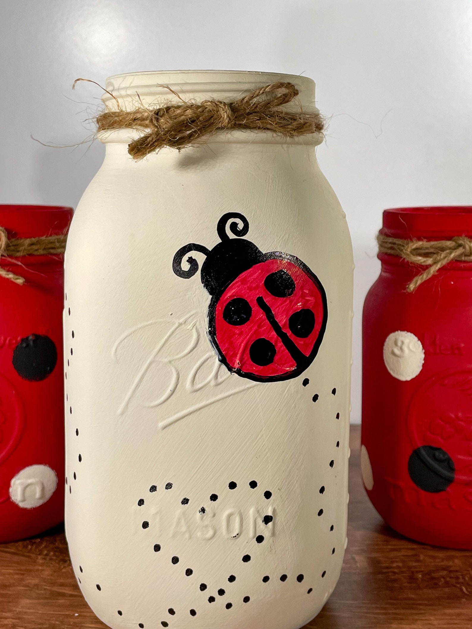Ladybug Mason Jars / Mason Jar Centerpiece / Ladybug Decor / - Etsy Canada