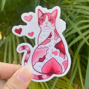 Pink Calico Cat Sticker / Clear Sticker / Cat Lady Sticker - Etsy