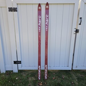 Shot Ski Legendary Red Hart Ski Made in the USA Ski 4 Shot, Large 2.5oz ...