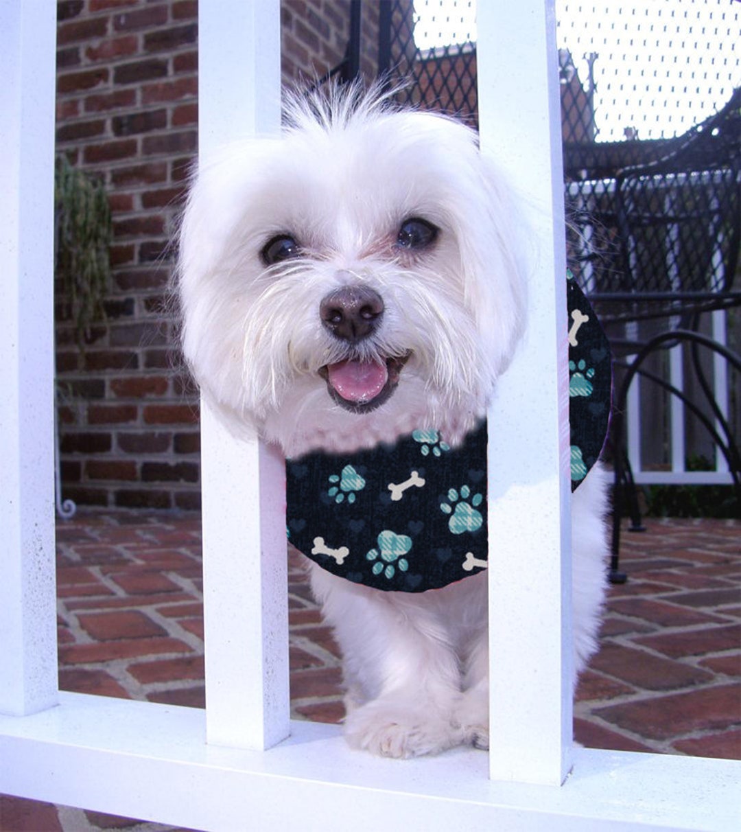 Blue Paw Prints Puppy Bumper® - Etsy