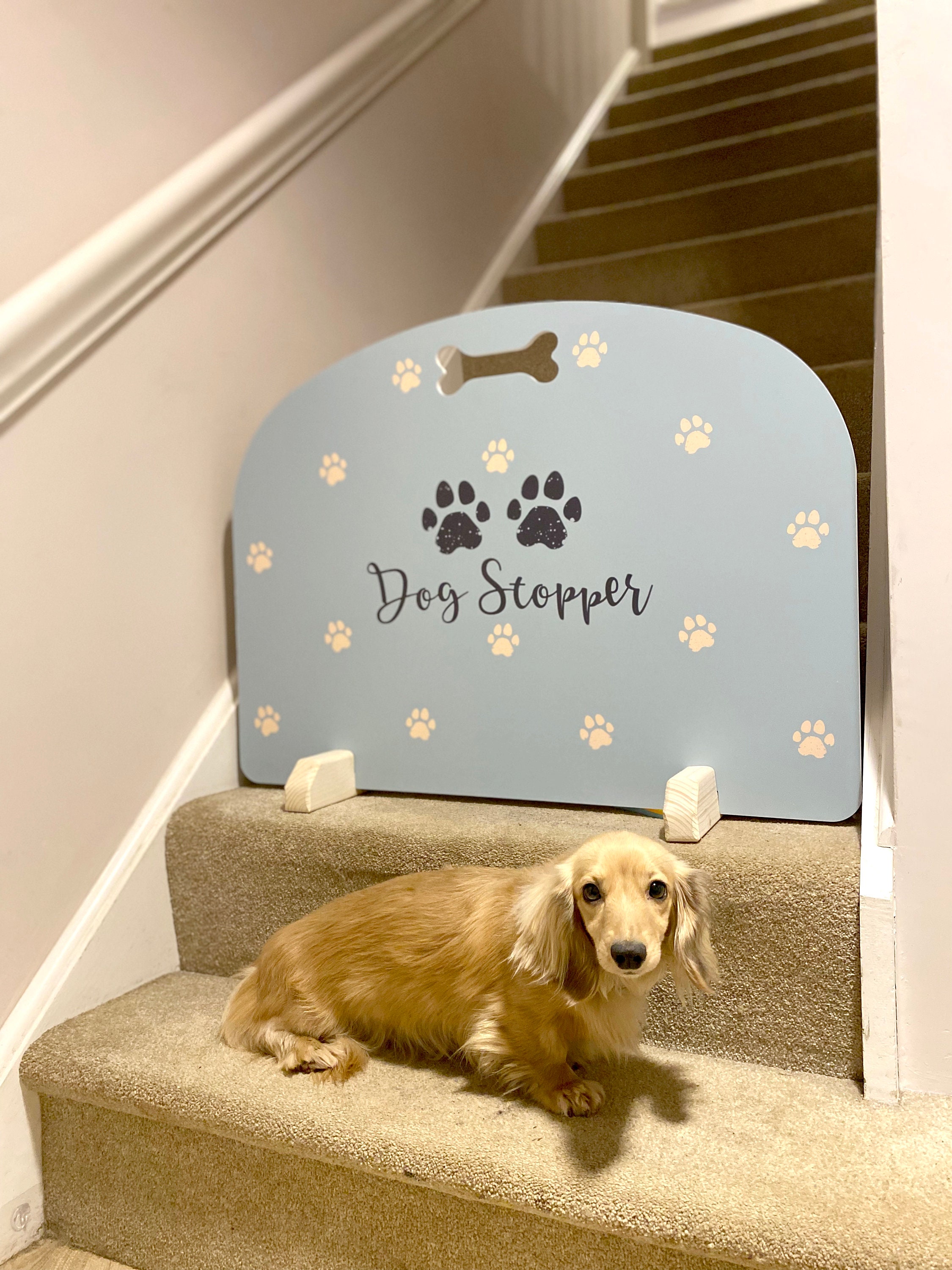 Labrador Stair Stopper at Michiko Durbin blog