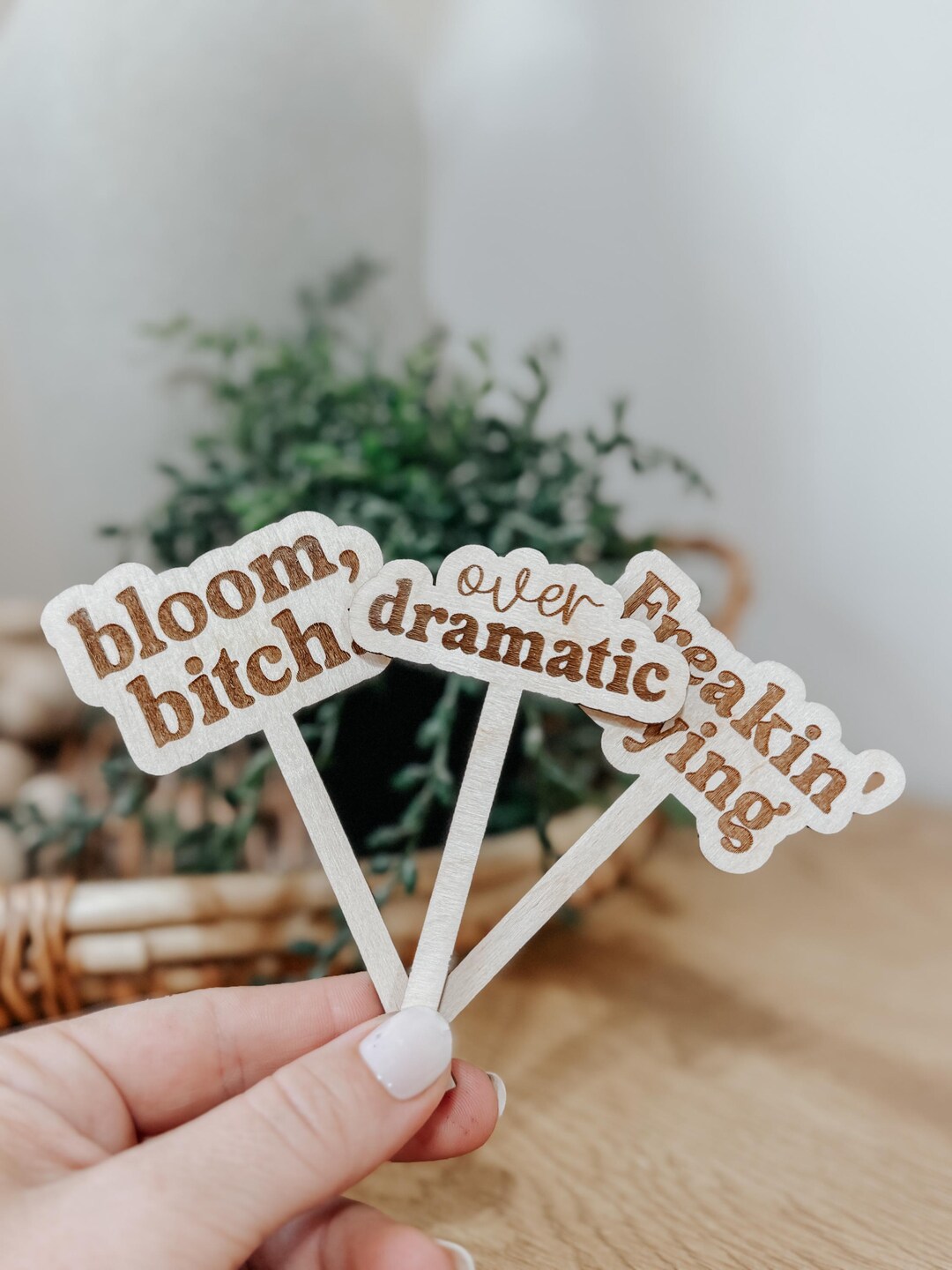 Funny Plant Stakes – Laser Cut Wood Plant Markers – Indoor Plant Decor ...