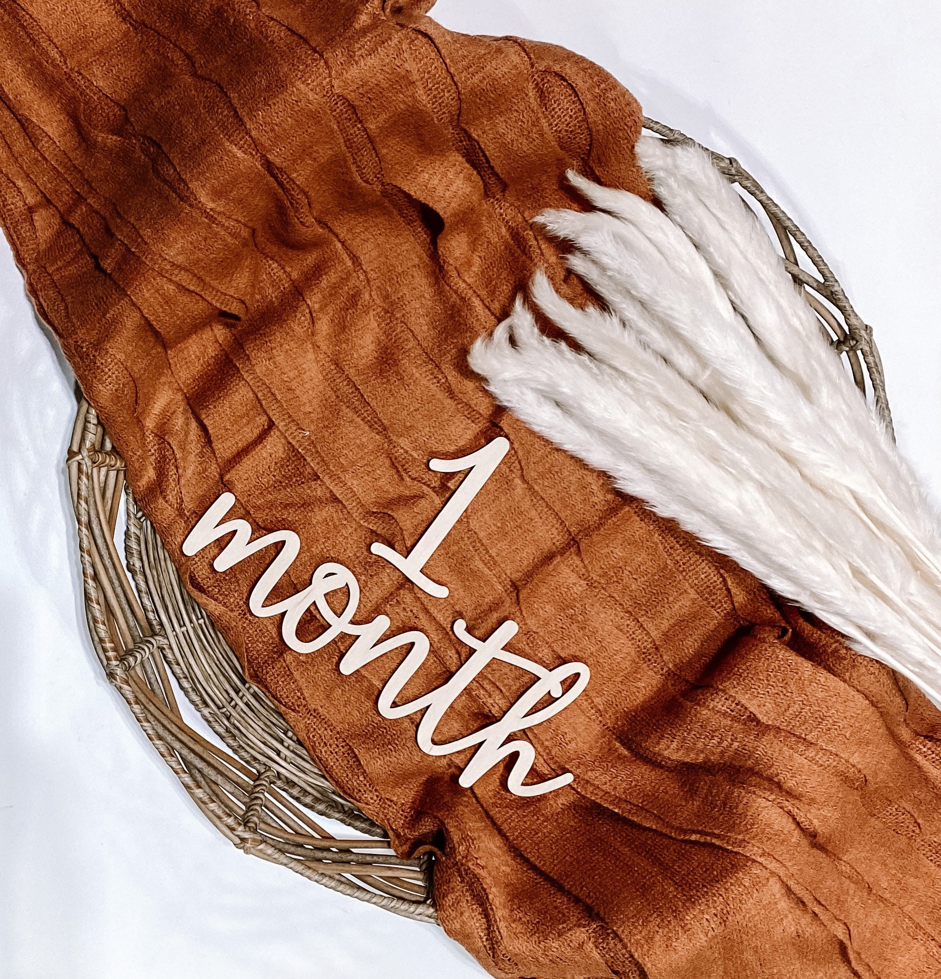 Monthly Milestone Prop Photo Prop Wood Photo Prop Baby - Etsy Australia