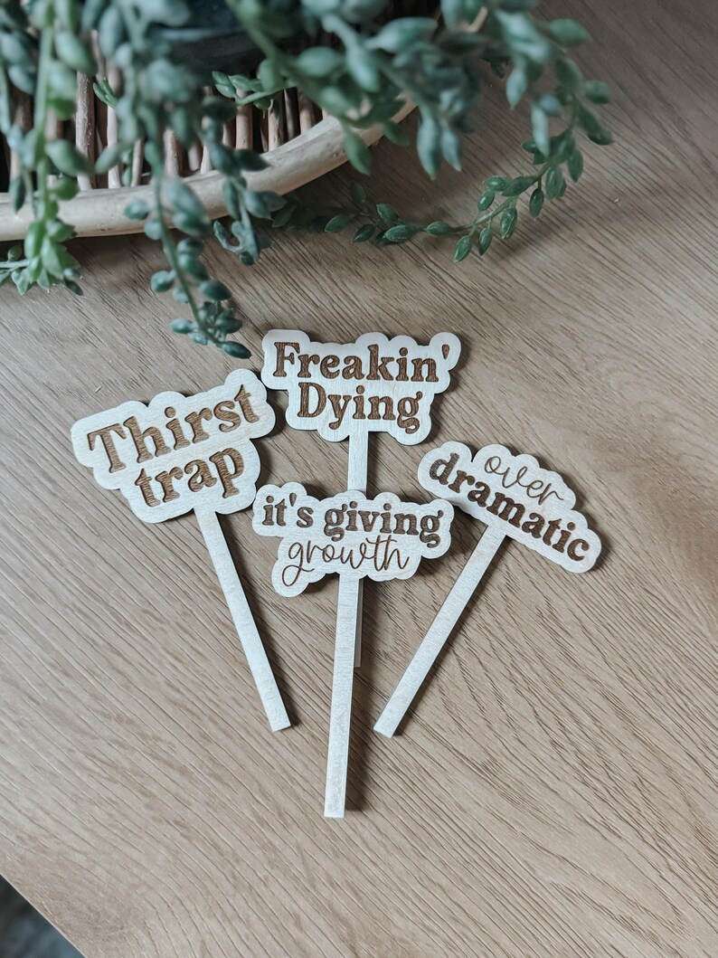 Funny Plant Stakes – Laser Cut Wood Plant Markers – Indoor Plant Decor ...