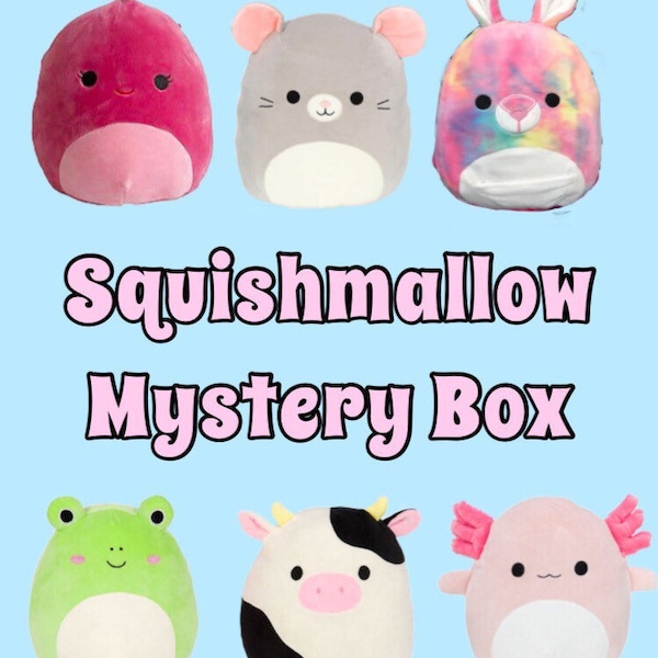 Squishmallow Mystery Box - Etsy