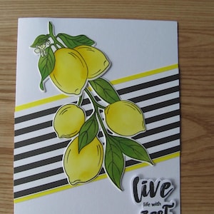 Handmade Lemon Greeting Cards: Mediterranean Thank You Notes - Etsy