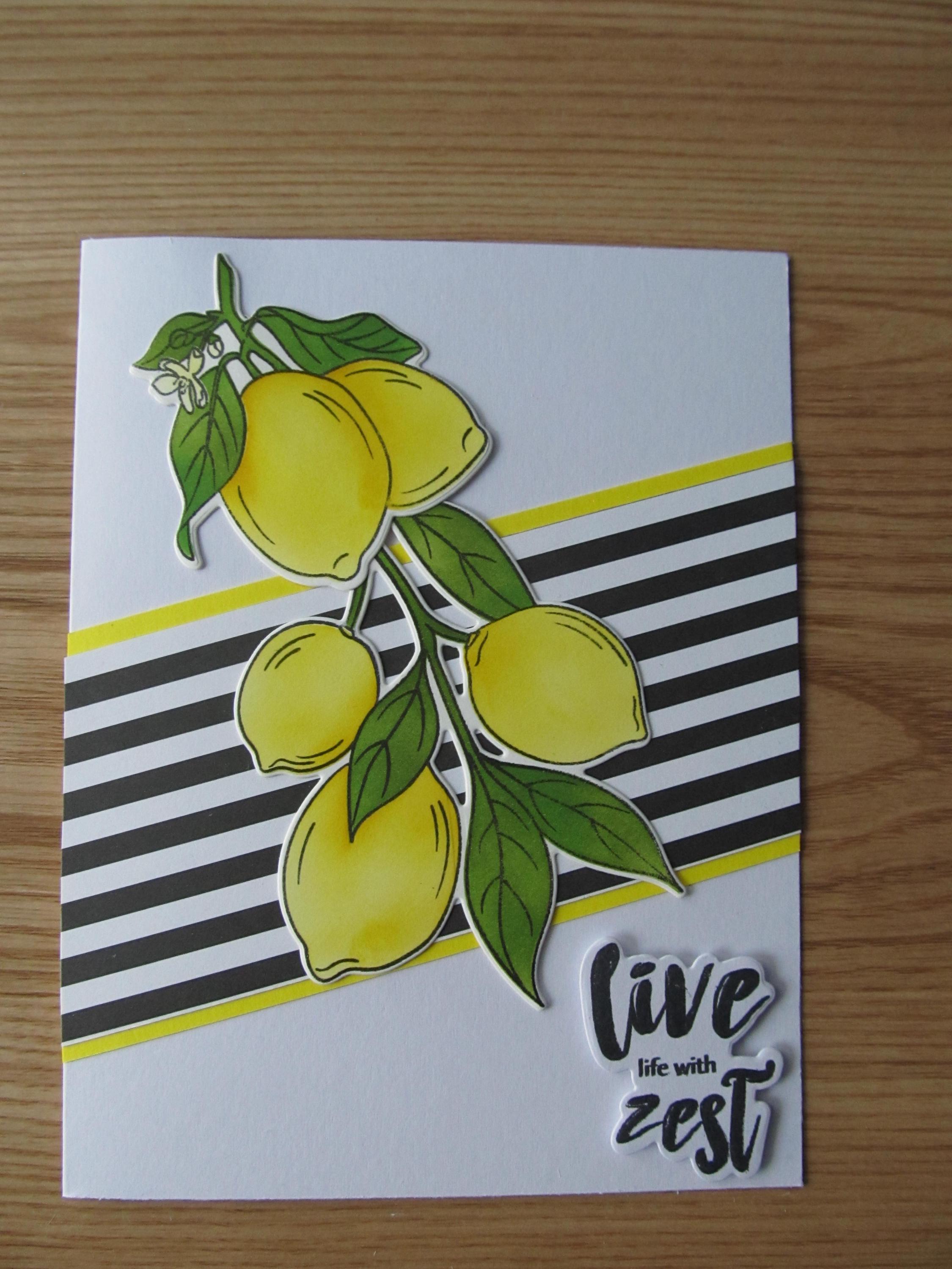 Handmade Lemon Greeting Cards: Mediterranean Thank You Notes - Etsy