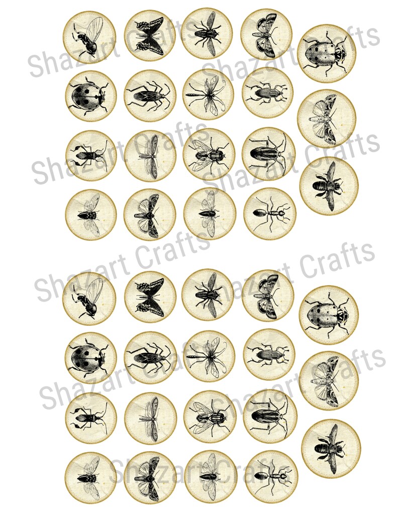 Bug and Insect Ephemera, Embellishments, Specimen, Frame, Junk Journal ...