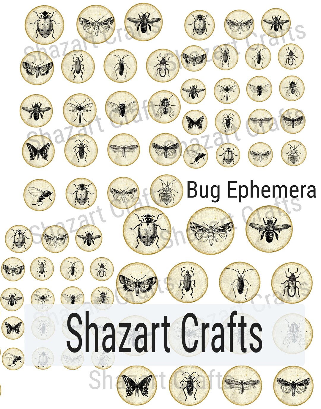 Bug and Insect Ephemera, Embellishments, Specimen, Frame, Junk Journal ...