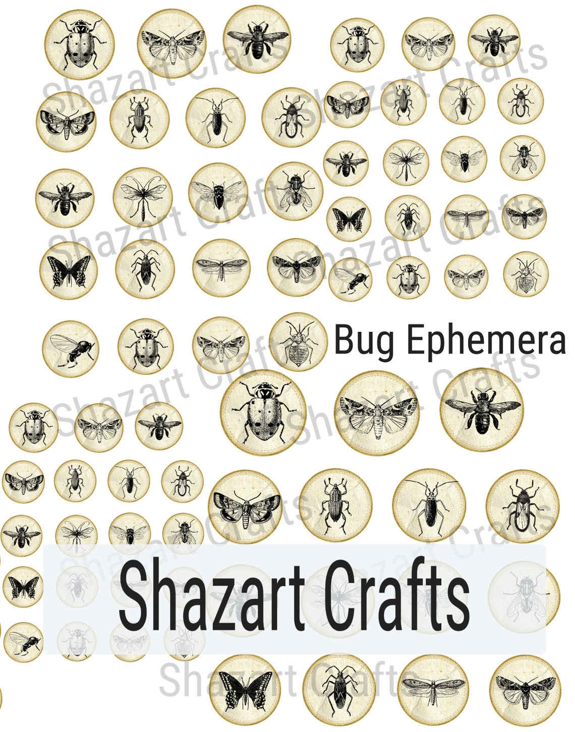 Bug and Insect Ephemera, Embellishments, Specimen, Frame, Junk Journal ...