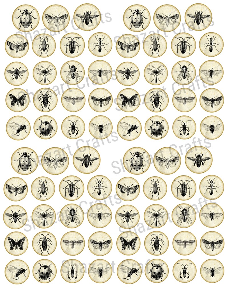 Bug and Insect Ephemera, Embellishments, Specimen, Frame, Junk Journal ...