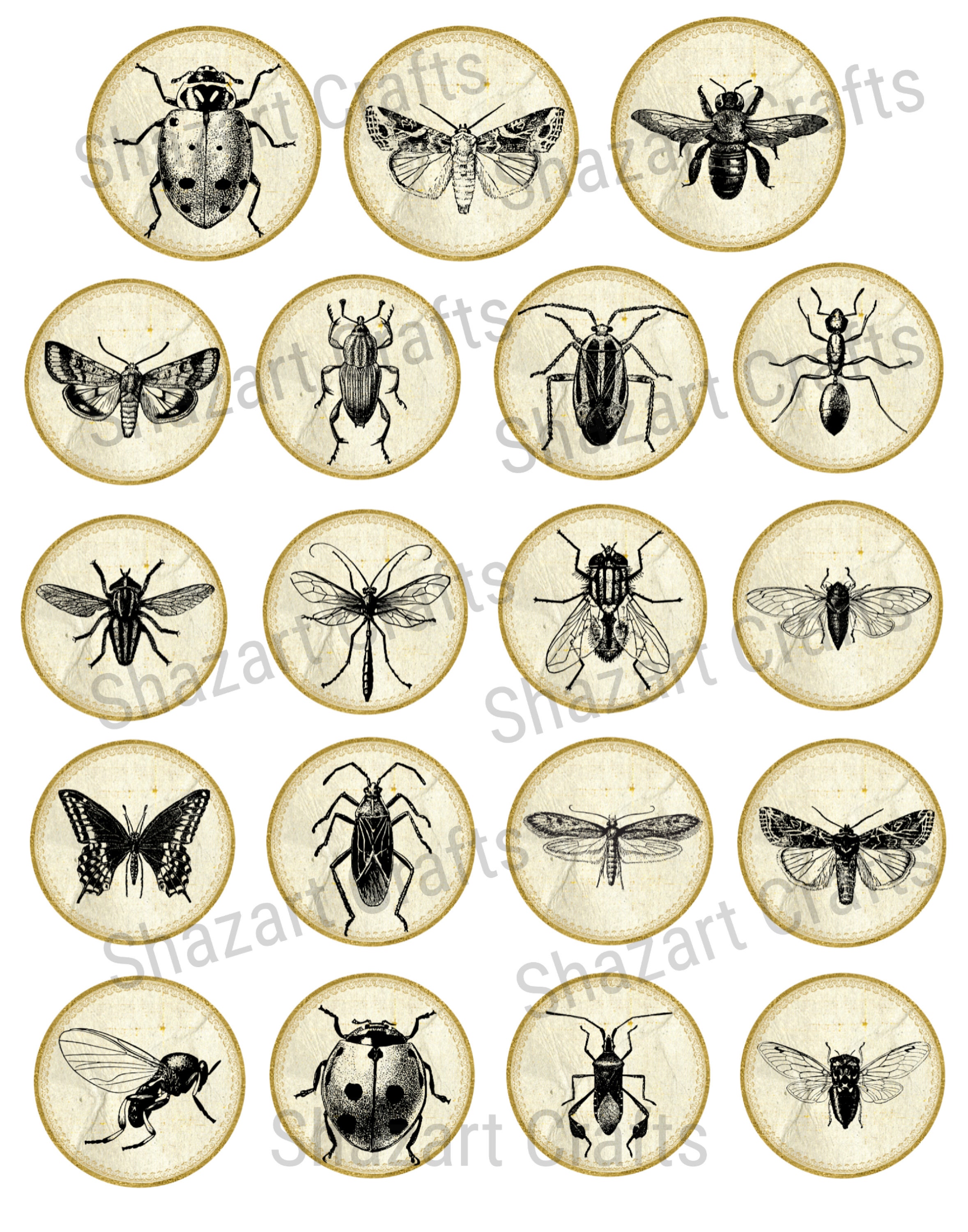 Bug and Insect Ephemera Embellishments Specimen Frame Junk - Etsy
