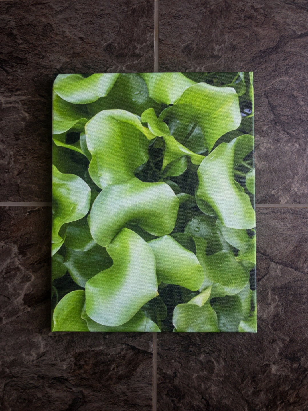 Waterless Plant, Green Pond Leaves, Small House Decor, Spring Summer ...