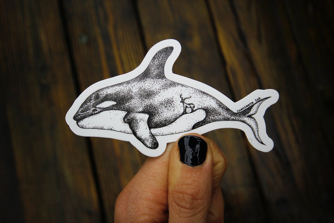 Orca Whale Sticker Decal - Etsy