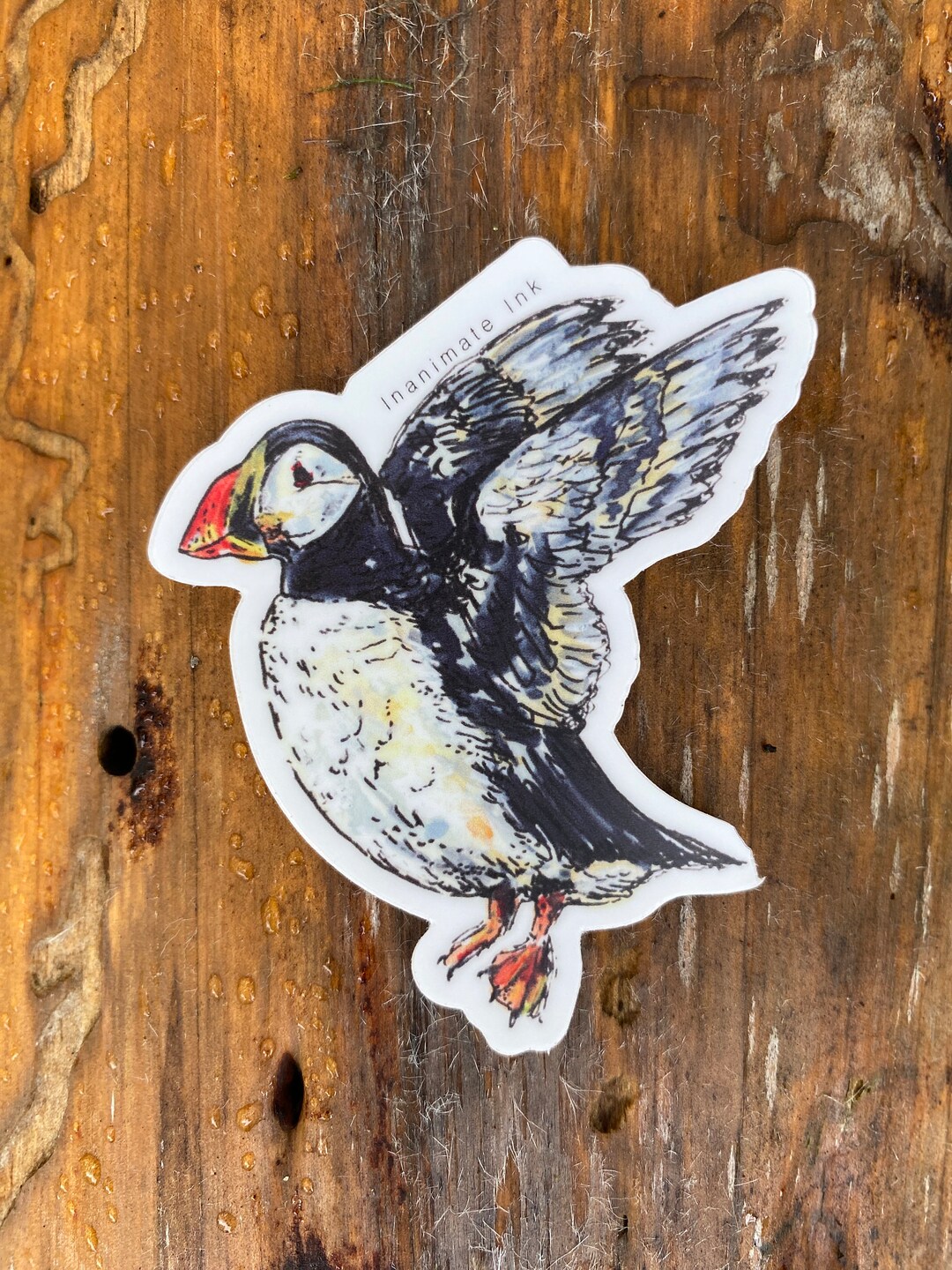 Puffin Bird Sticker | Sea Parrot | Vinyl Sticker | Puffin Decal - Etsy
