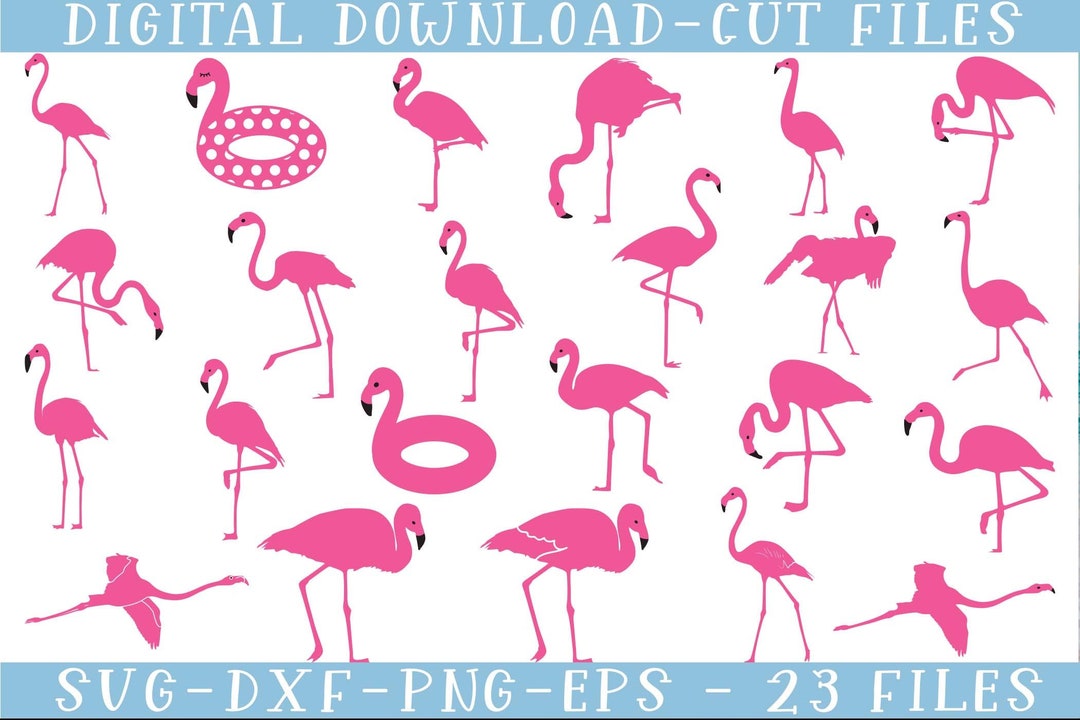 Flamingo Svg Bundle, Flamingo Svg, Flamingo Cut Files, Bird Svg ...