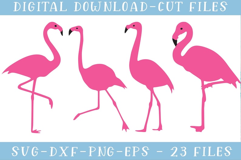 Flamingo Svg Bundle, Flamingo Svg, Flamingo Cut Files, Bird Svg ...