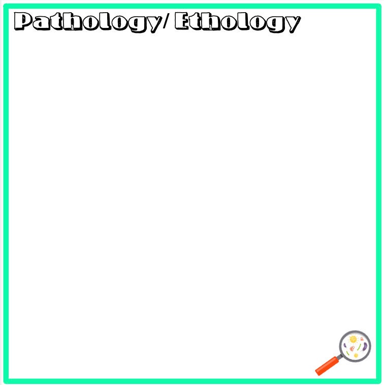 Pathophysiology Map - Etsy
