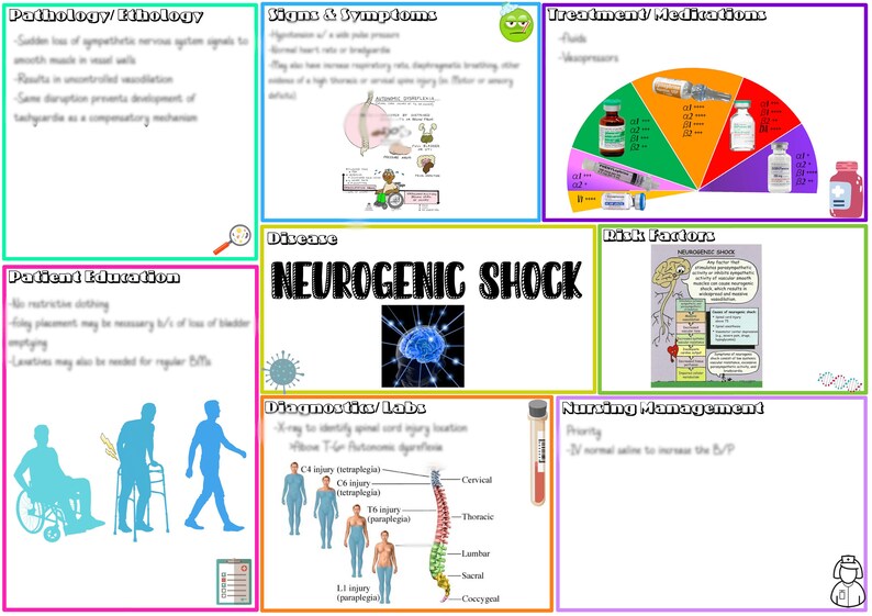 Types of Shock/ Nursing/ Emt-paramedic/ Medical/ Notes - Etsy