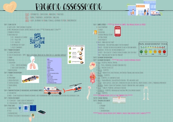 Ems Patient Assessment EMS 253: Patient Assessment For The EMT