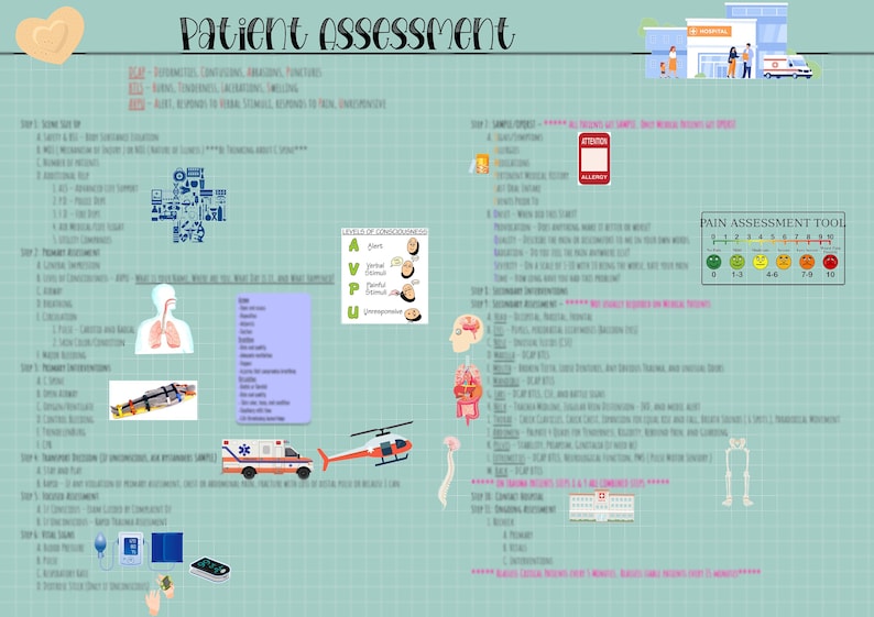 Patient Assessment/ EMT- Paramedics/ Medical/ EMS - Etsy