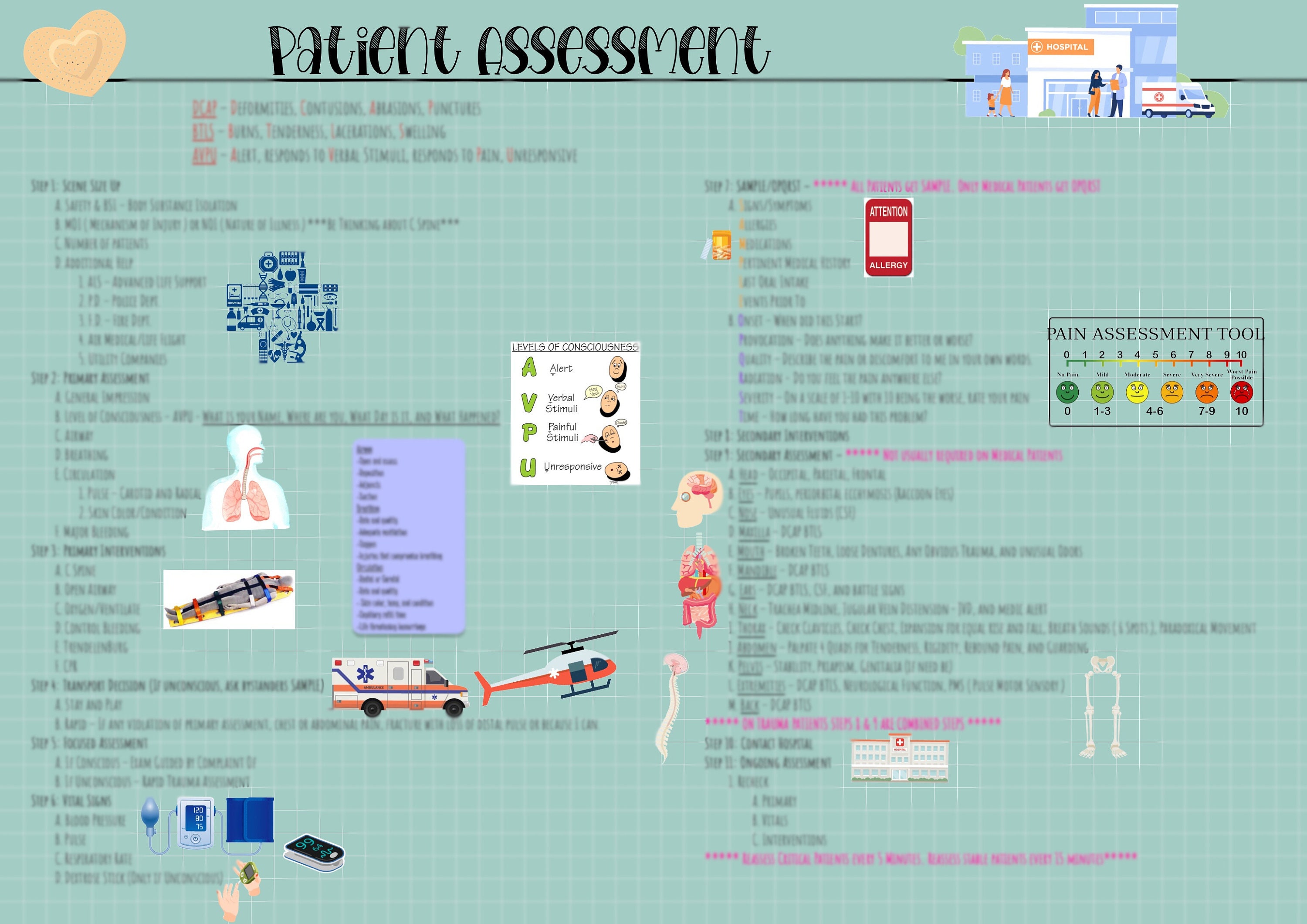 Patient Assessment/ EMT- Paramedics/ Medical/ EMS - Etsy