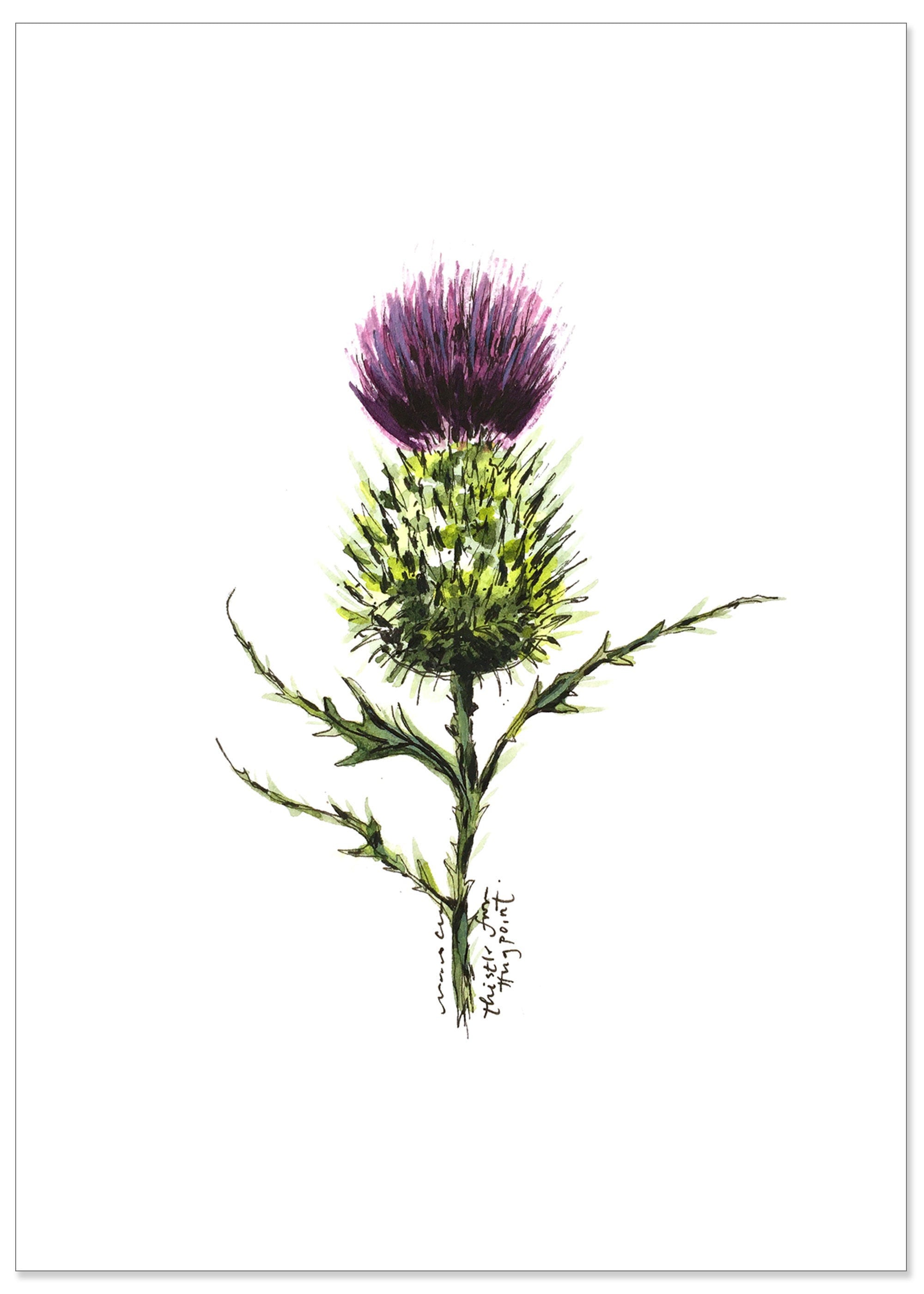 Thistle 5 X 7 Art Print - Etsy UK